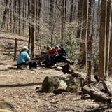 Daniel Ridge Loop, North Carolina - 1,905 Reviews, Map | AllTrails