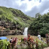 Waimea Valley Trail, Oahu, Hawaii - 1,570 Reviews, Map | AllTrails