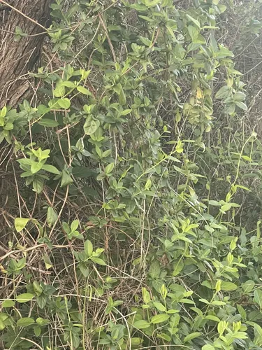 Best Hikes and Trails in Springfield Park | AllTrails