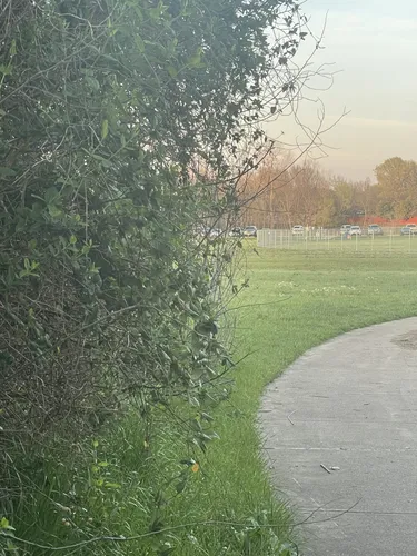 Best Hikes and Trails in Springfield Park | AllTrails