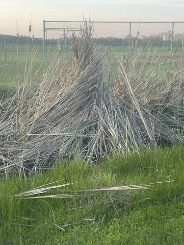 Best Hikes and Trails in Springfield Park | AllTrails