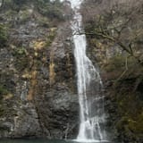 Minoh Waterfalls Trail, Osaka, Japan - 233 Reviews, Map | AllTrails