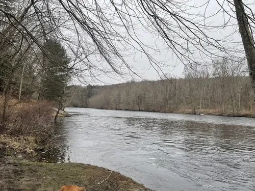 Best Hikes and Trails in Salt Rock State Park | AllTrails