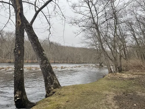 Best Hikes and Trails in Salt Rock State Park | AllTrails