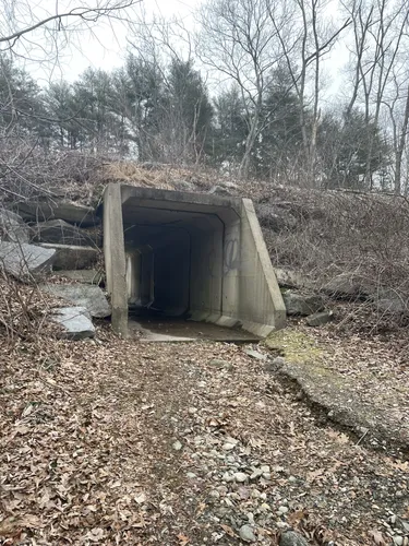 Best Hikes and Trails in Salt Rock State Park | AllTrails