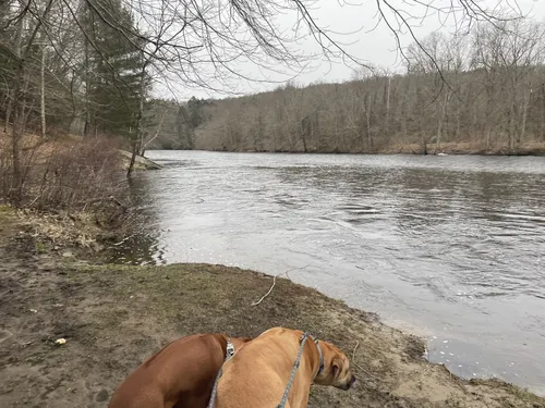 Best Hikes and Trails in Salt Rock State Park | AllTrails