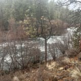 Riley Ranch Trails, Oregon - 391 Reviews, Map | AllTrails