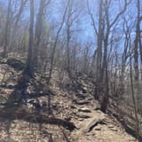 Springer Mountain, Georgia - 686 Reviews, Map | AllTrails