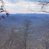 Springer Mountain, Georgia - 686 Reviews, Map | AllTrails