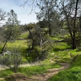Hensley Lake Day Use Areas Trail, California - 396 Reviews, Map | AllTrails