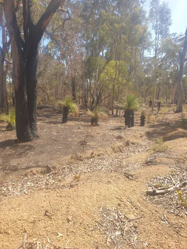 Best Hikes and Trails in Dawn Atwell Reserve | AllTrails