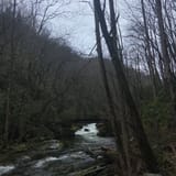 Mouse Creek Falls via Big Creek Trail, Tennessee - 2,633 Reviews, Map ...