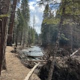 Carlon Falls Trail, California - 1,109 Reviews, Map | AllTrails