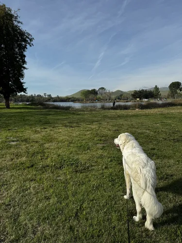 Best Lake Trails in Sanger | AllTrails