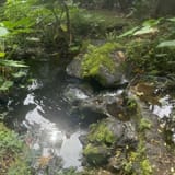 Makiki Valley Loop, Oahu, Hawaii - 5,605 Reviews, Map | AllTrails