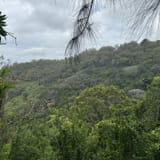 Makiki Valley Loop, Oahu, Hawaii - 5,605 Reviews, Map | AllTrails