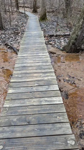 Best Forest Trails in Bacon Ridge Natural Area | AllTrails