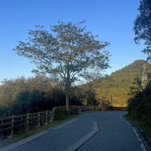 Best Hikes and Trails in Yantaishan Forest Park | AllTrails