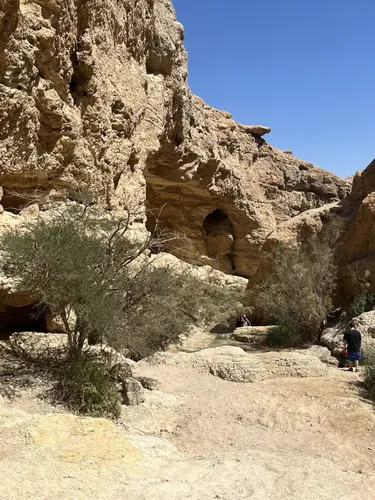 Best Hikes and Trails in Midbar Yehuda Nature Reserve | AllTrails