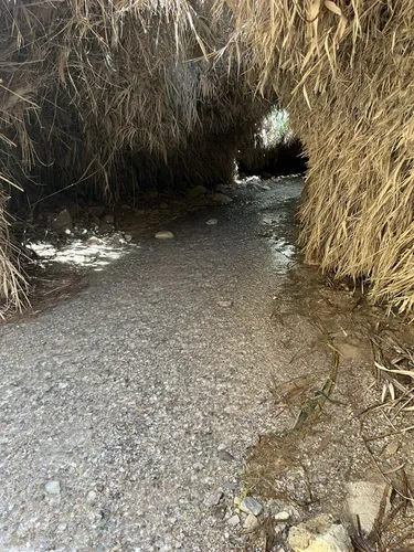 Best Hikes and Trails in Midbar Yehuda Nature Reserve | AllTrails