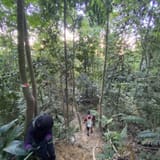 Bukit Dinding via Kazumi Trail, Kuala Lumpur, Malaysia - 38 Reviews ...