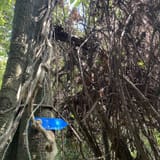 Bukit Dinding via Kazumi Trail, Kuala Lumpur, Malaysia - 38 Reviews ...
