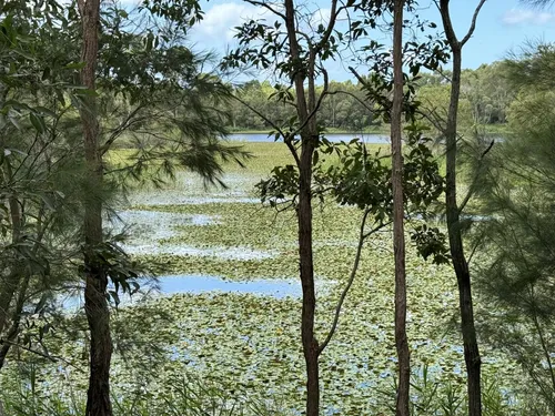 Best Hikes and Trails in Berrinba Wetlands | AllTrails