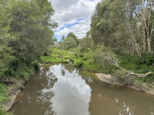 Best Hikes and Trails in Berrinba Wetlands | AllTrails