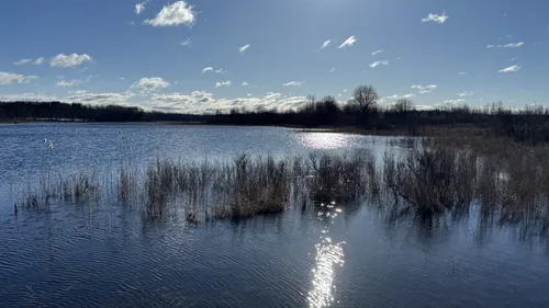 Best Hikes and Trails in Three Rivers Wildlife Management Area | AllTrails