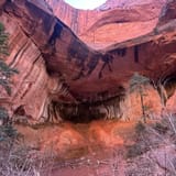 Middle Fork Taylor Creek Trail, Utah - 3,069 Reviews, Map | AllTrails