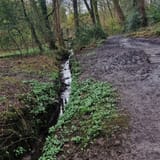 Roe Green Loop Line and Bridgewater Canal Circular, Greater Manchester ...