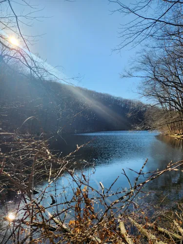 Best Hikes and Trails in Tarrywile Park | AllTrails