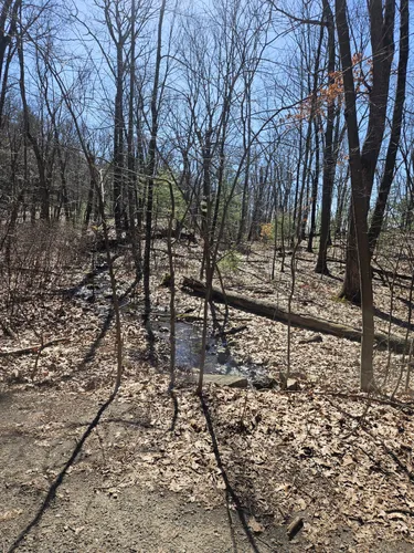 Best Hikes and Trails in Prospect Hill Park | AllTrails