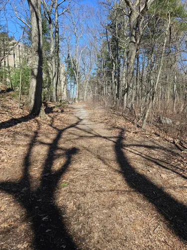 Best Hikes and Trails in Prospect Hill Park | AllTrails