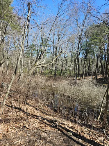 Best Hikes and Trails in Prospect Hill Park | AllTrails