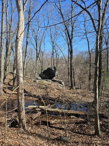 Best Hikes and Trails in Prospect Hill Park | AllTrails