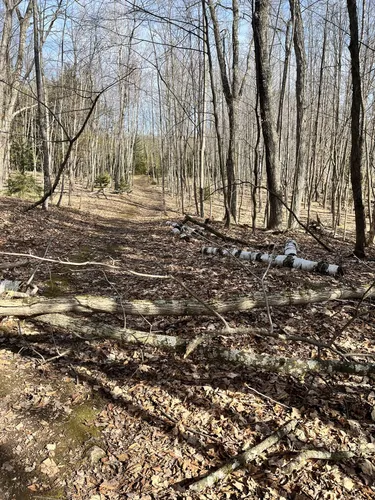 Best Hikes and Trails in Ephraim Preserve | AllTrails