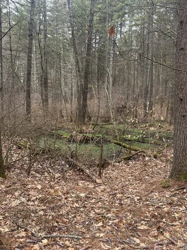 Best Hikes and Trails in Winding Trails Camp | AllTrails