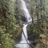 Murhut Falls Trail, Washington - 927 Reviews, Map | AllTrails