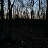 Perry Valley Loop Trail, West Virginia - 105 Reviews, Map | AllTrails