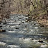 Perry Valley Loop Trail, West Virginia - 127 Reviews, Map | AllTrails