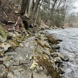 Old Mill Trail, Massachusetts - 314 Reviews, Map | AllTrails