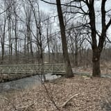 Old Mill Trail, Massachusetts - 314 Reviews, Map | AllTrails
