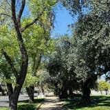 Murphy Bridle Path Trail, Arizona - 447 Reviews, Map | AllTrails