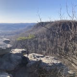 West and East Pinnacle, Kentucky - 1,293 Reviews, Map | AllTrails