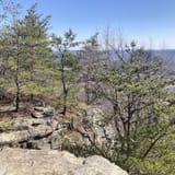 West and East Pinnacle, Kentucky - 1,293 Reviews, Map | AllTrails