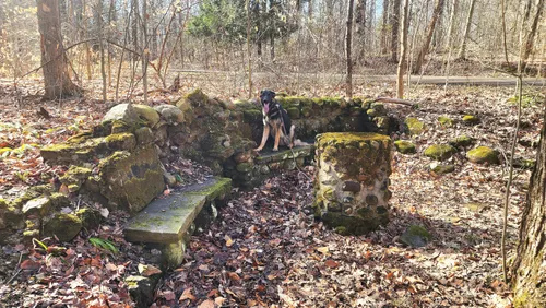 Best Hikes and Trails in Emery County Park | AllTrails