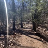 Wadsworth Falls Loop, Connecticut - 3,934 Reviews, Map | AllTrails