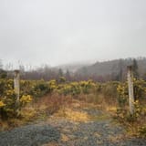 Lough Eske Nature Loop, County Donegal, Ireland - 102 Reviews, Map ...
