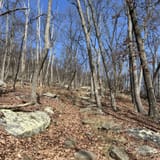 Laurel and Ziler Loop Trail, West Virginia - 217 Reviews, Map | AllTrails